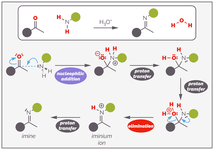 Enamines — Making Molecules