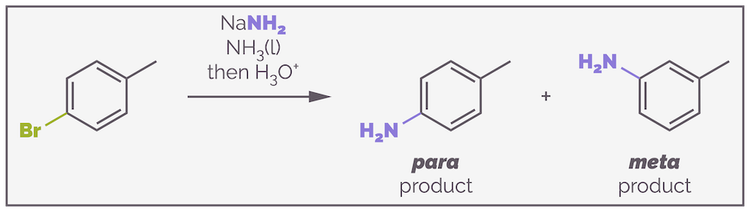 Benzyne, Arynes & Nucleophilic Aromatic Substitution — Making Molecules