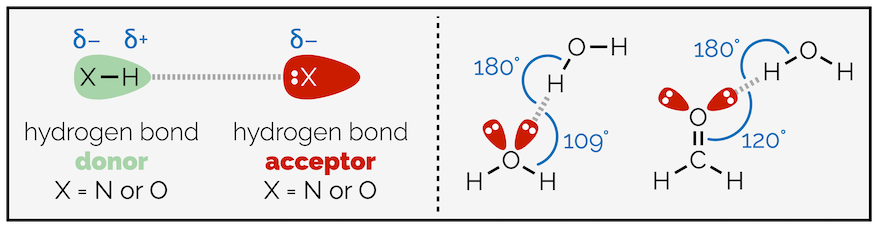 Polarity & Non-Covalent Interactions Part 1 — Making Molecules