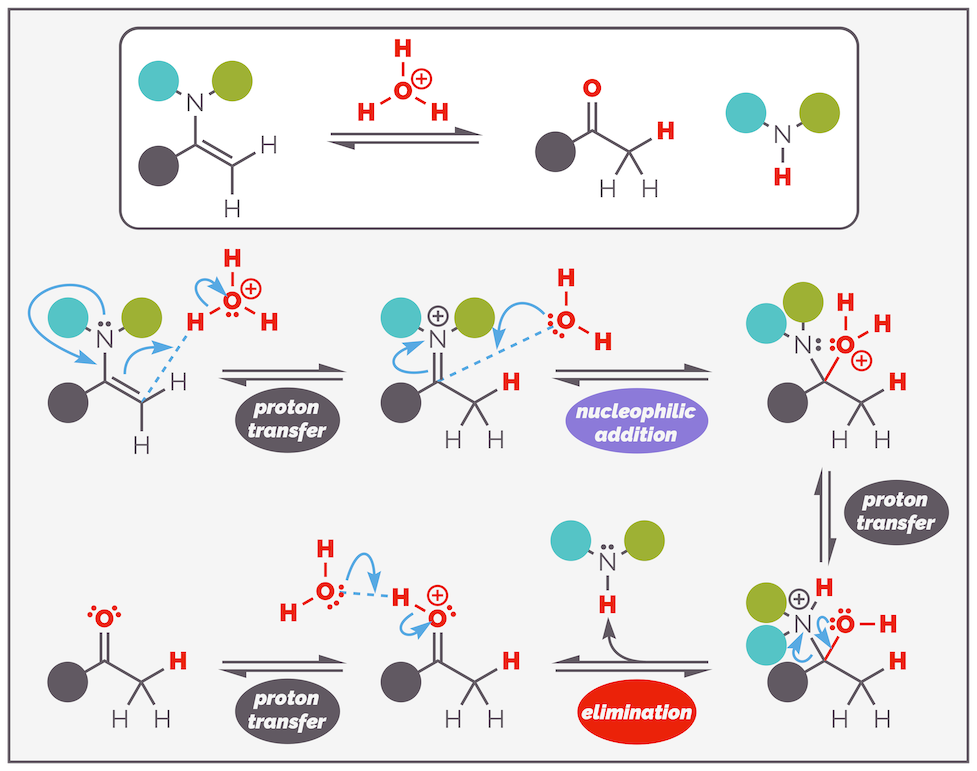 Enamines — Making Molecules