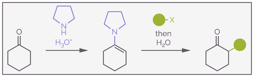 Enamines — Making Molecules