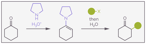 Enamines — Making Molecules