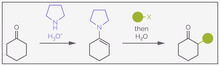 Enamines — Making Molecules