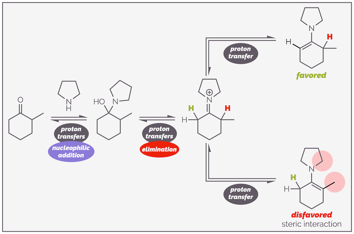 Enamines — Making Molecules