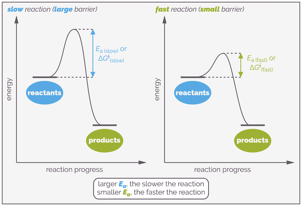 Simplified Rates of Reaction from an Organic Chemist — Making Molecules