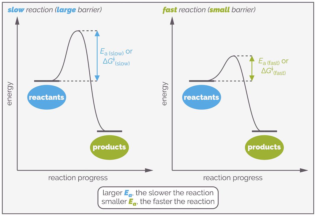 Simplified Rates of Reaction from an Organic Chemist — Making Molecules