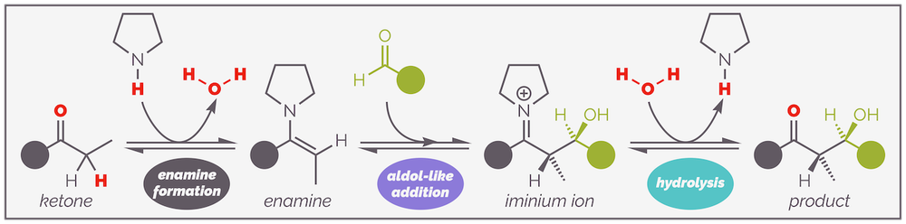 Enamines — Making Molecules