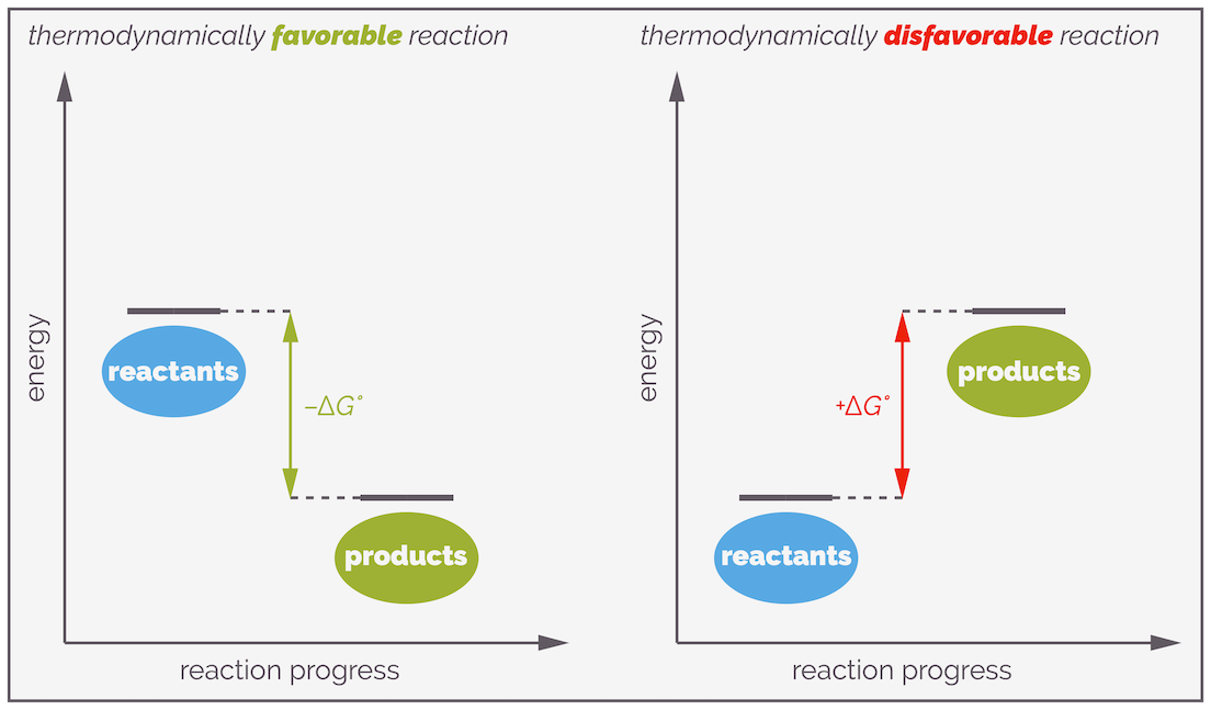 Simplified Rates of Reaction from an Organic Chemist — Making Molecules