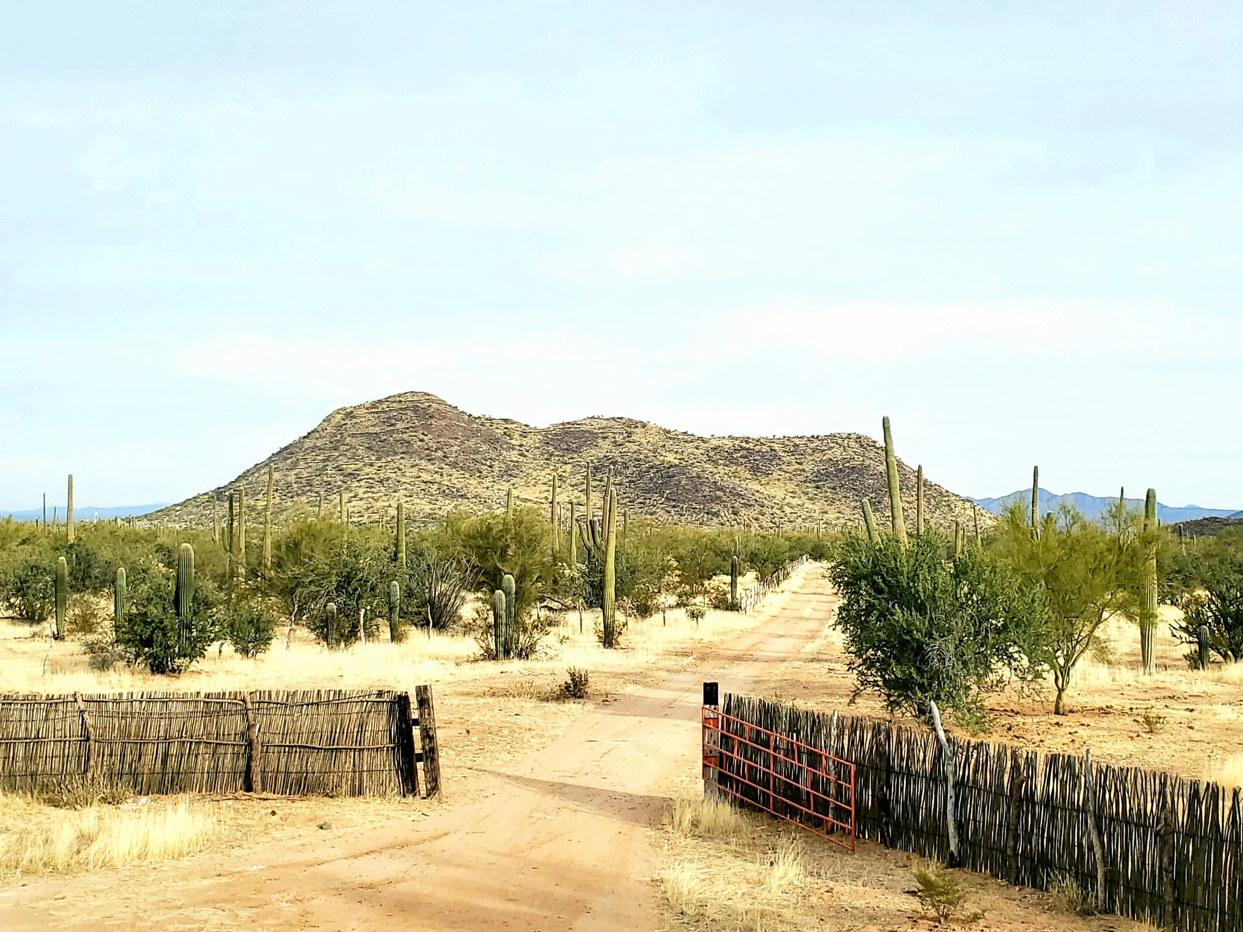 Sonora Grande Hunting