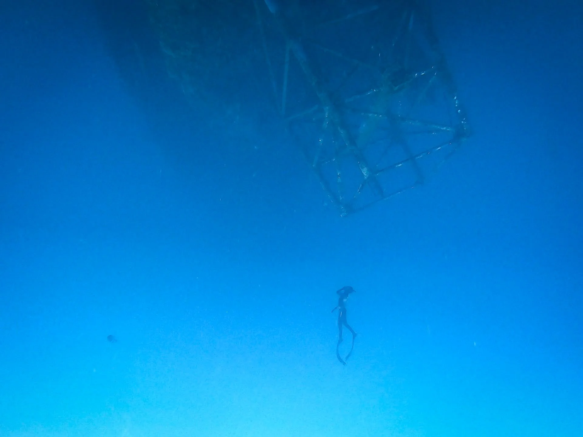 Learn Freediving in Melbourne