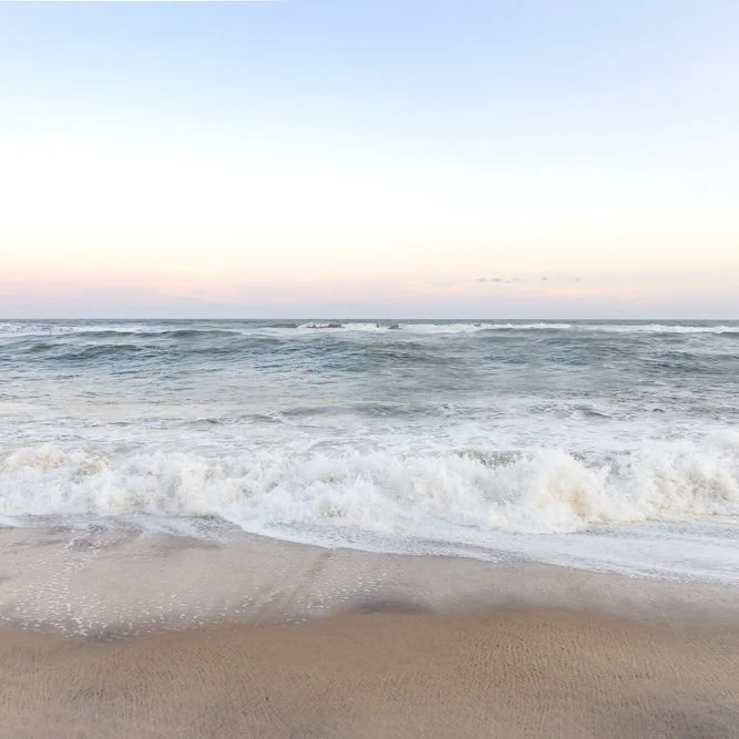 Shop — Caroline Pacula