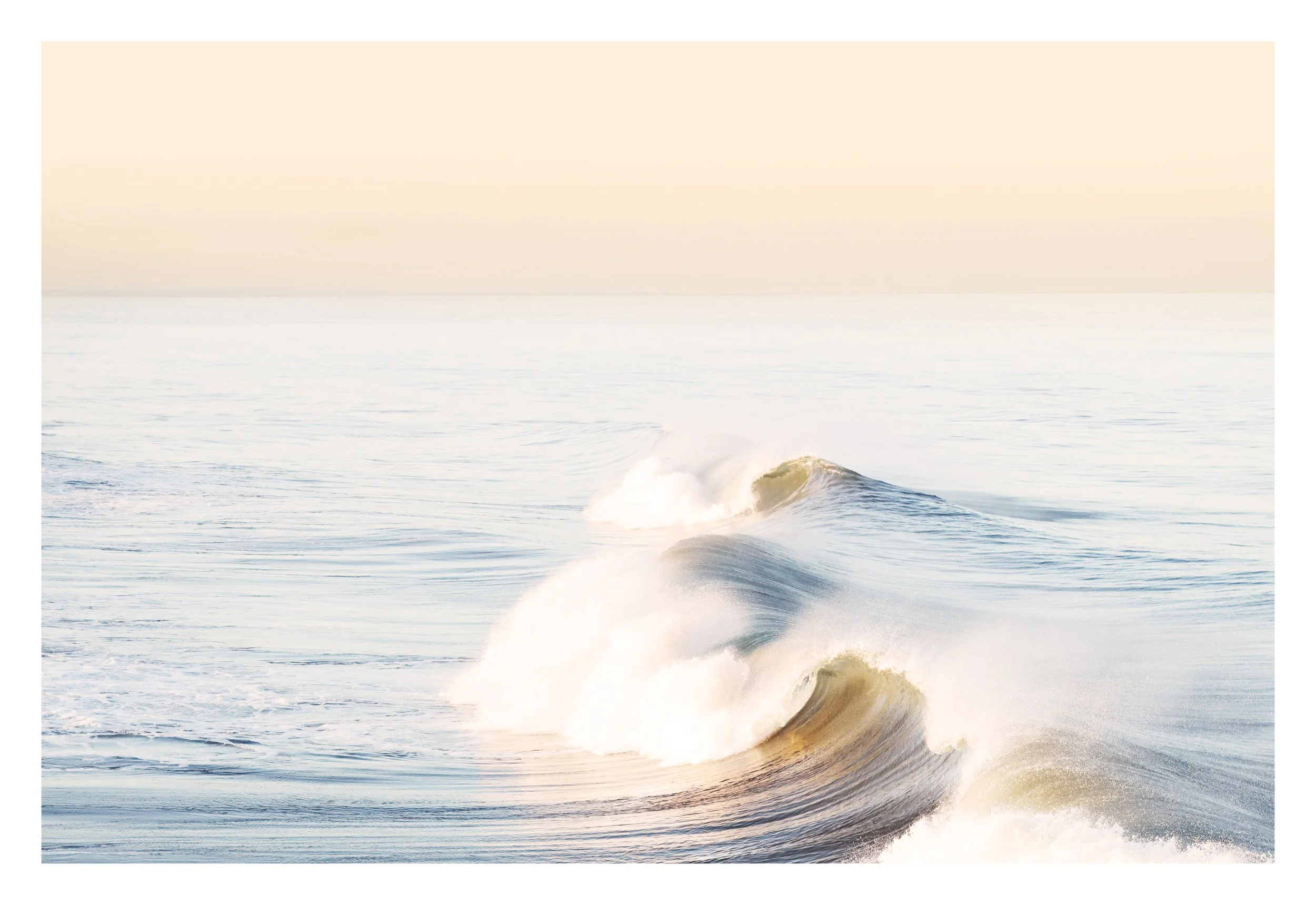 Shop — Caroline Pacula