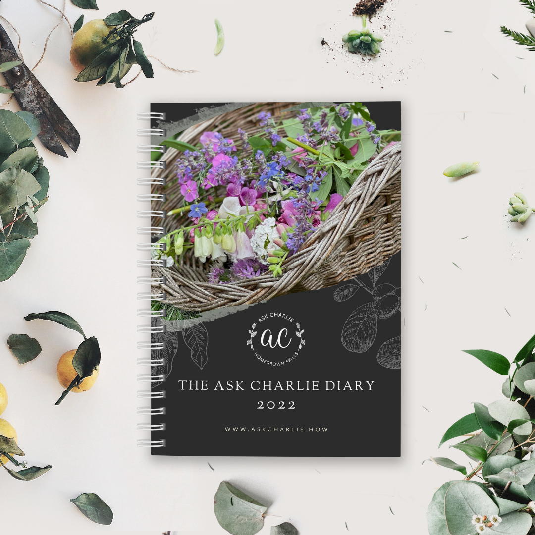 Shop — Ask Charlie