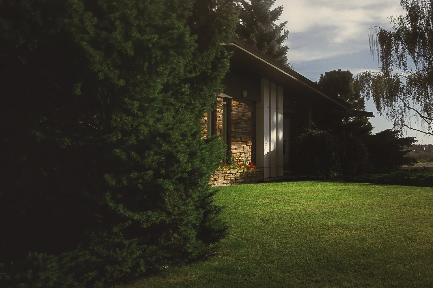 9 Creative Ways to Hide Your Generator — Maggie McGaugh