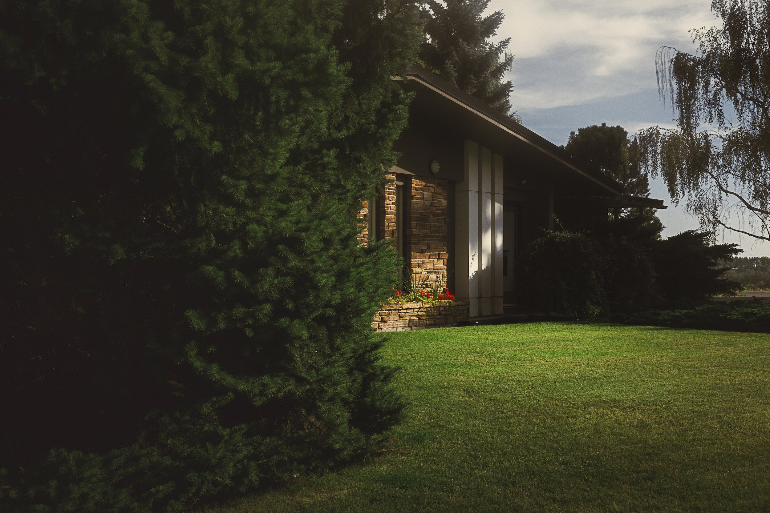 9 Creative Ways to Hide Your Generator — Maggie McGaugh