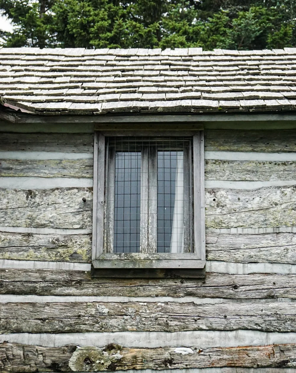 Spending a Night Up at LeConte Lodge — The Plane and Light