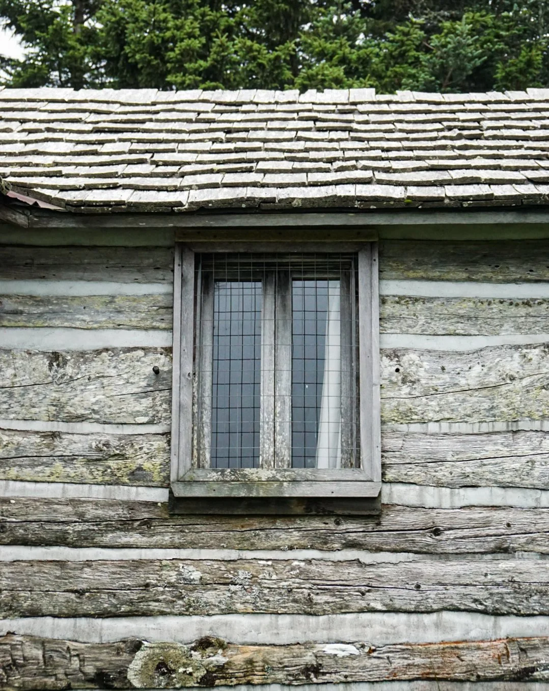 Spending a Night Up at LeConte Lodge — The Plane and Light