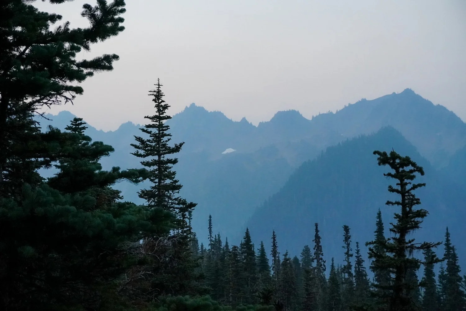 Running The High Divide Trail in Olympic National Park — The Plane and ...