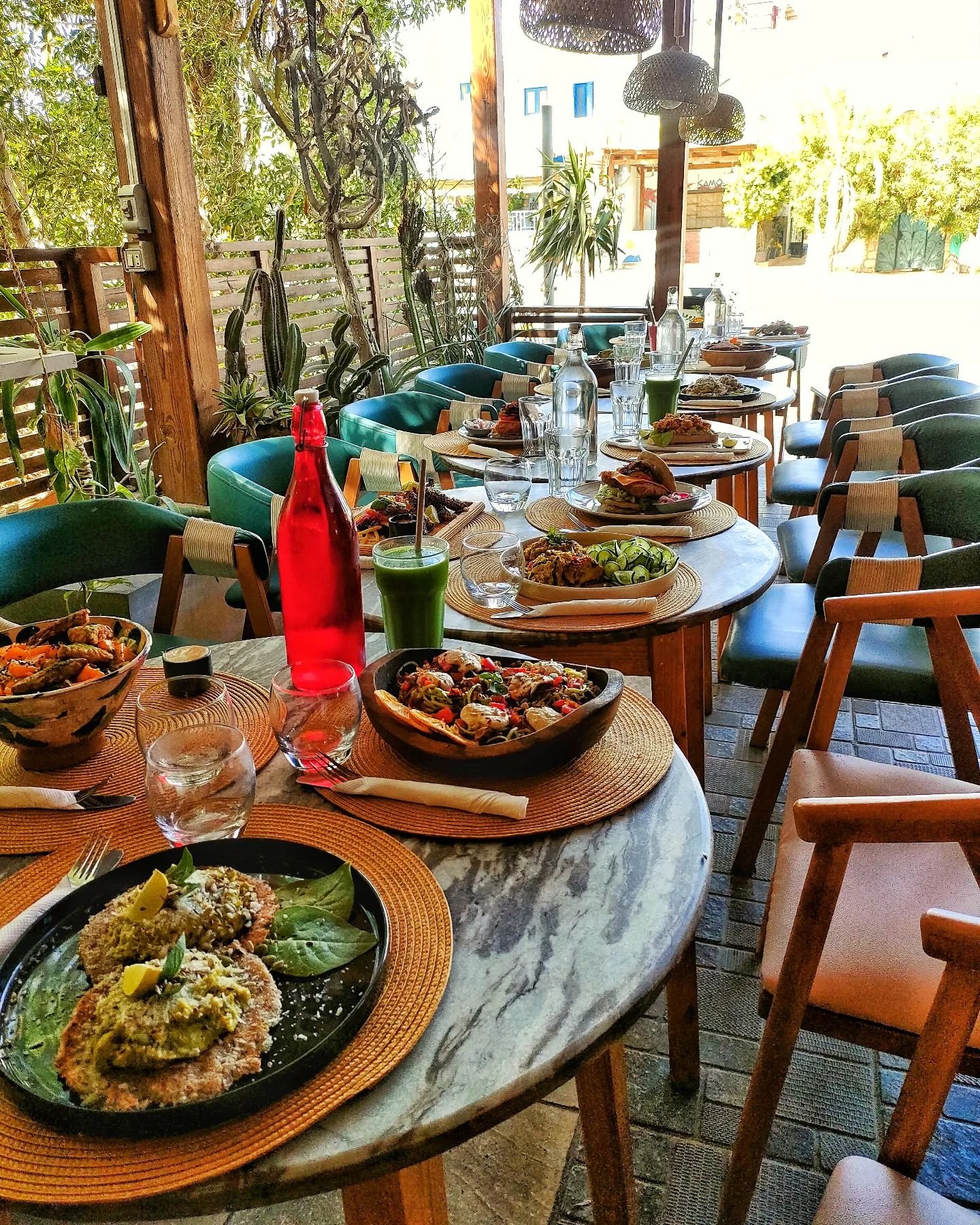 Royal Feasts: Discover 100% Vegan Restaurants Across Egypt — Middle ...