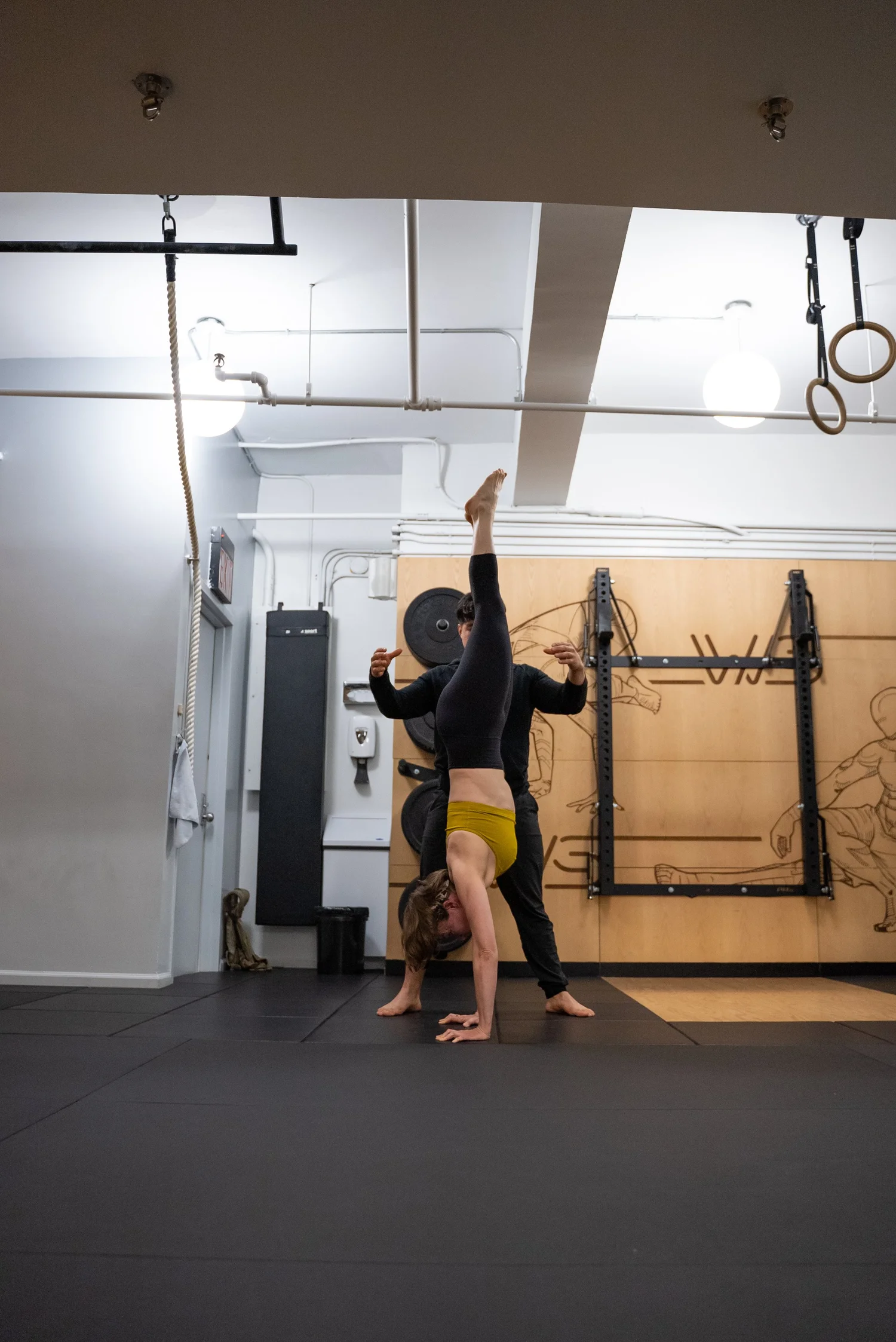 About Willspace — Feel 10 Years Younger