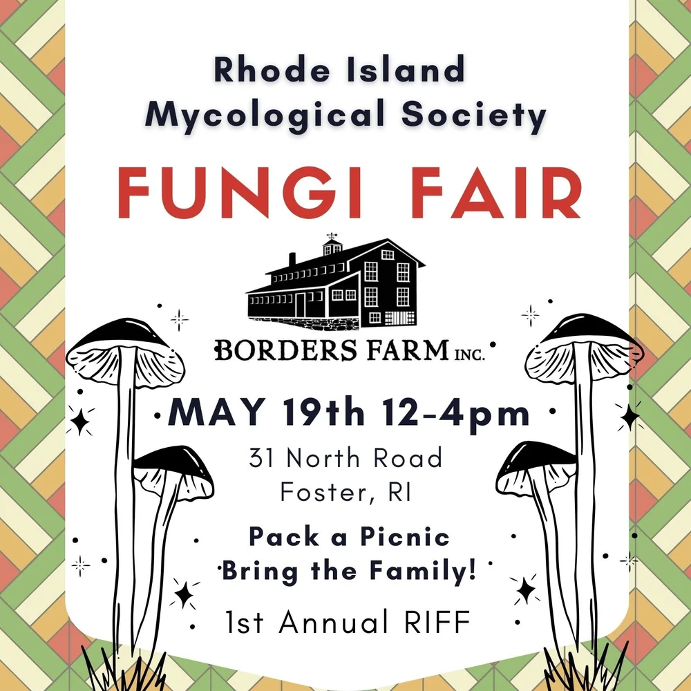 Rhode Island Mycological Society | Family-Friendly Mushroom Walks and ...