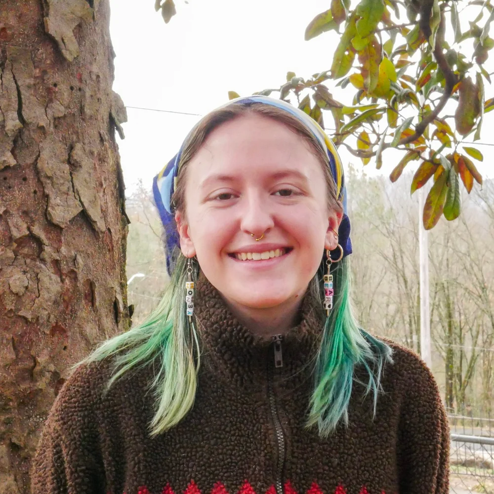 Programs — SEEED Knox