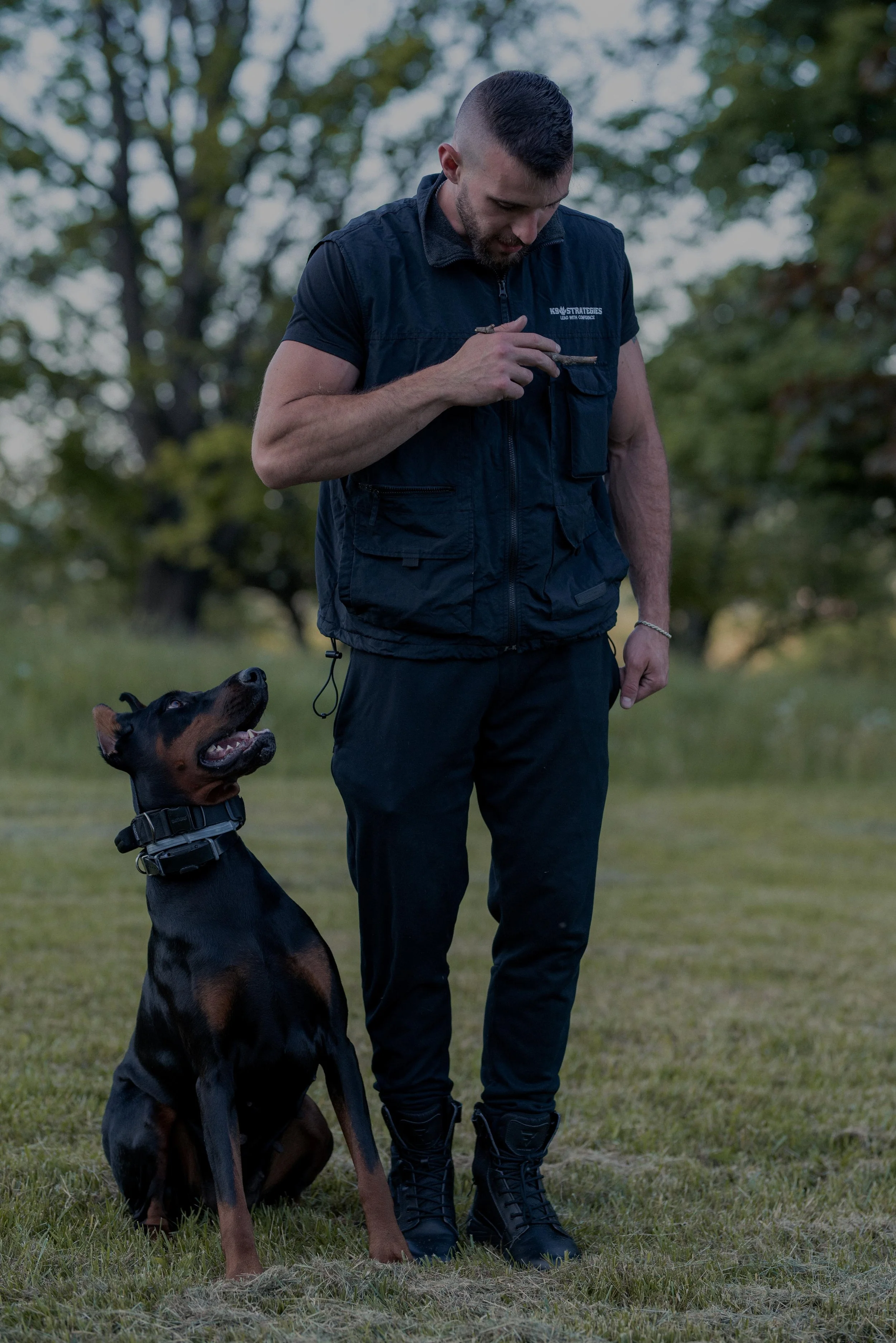 K9 Strategies Offers “The Best” Dog Training Services