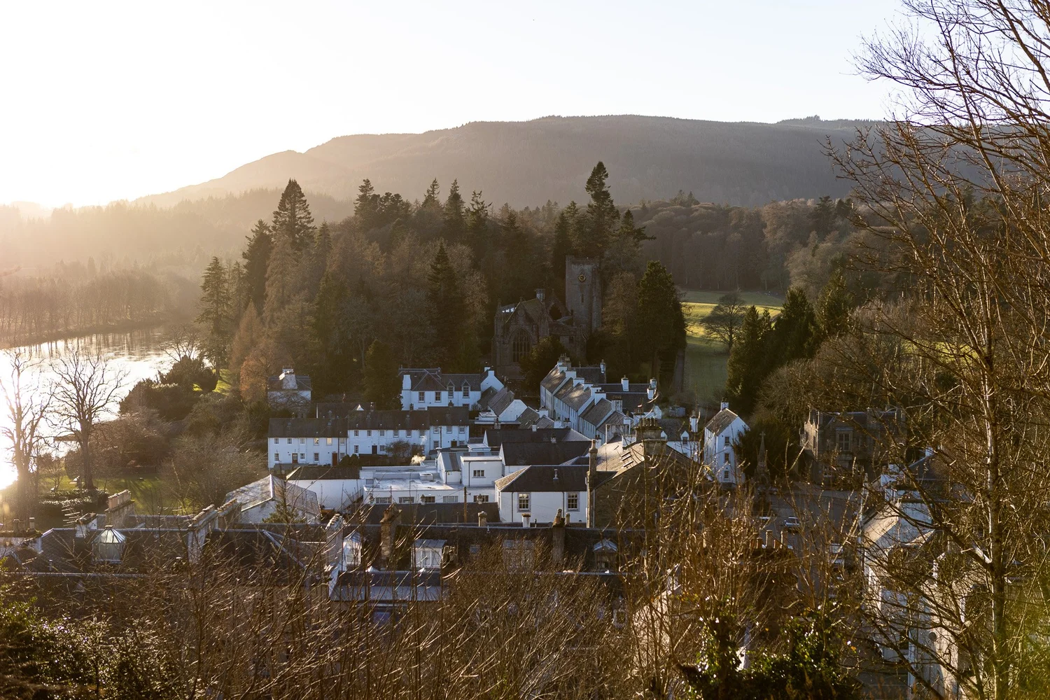 Tay Trails | Guided Walks in Dunkeld and Birnam, Perthshire — The Taybank