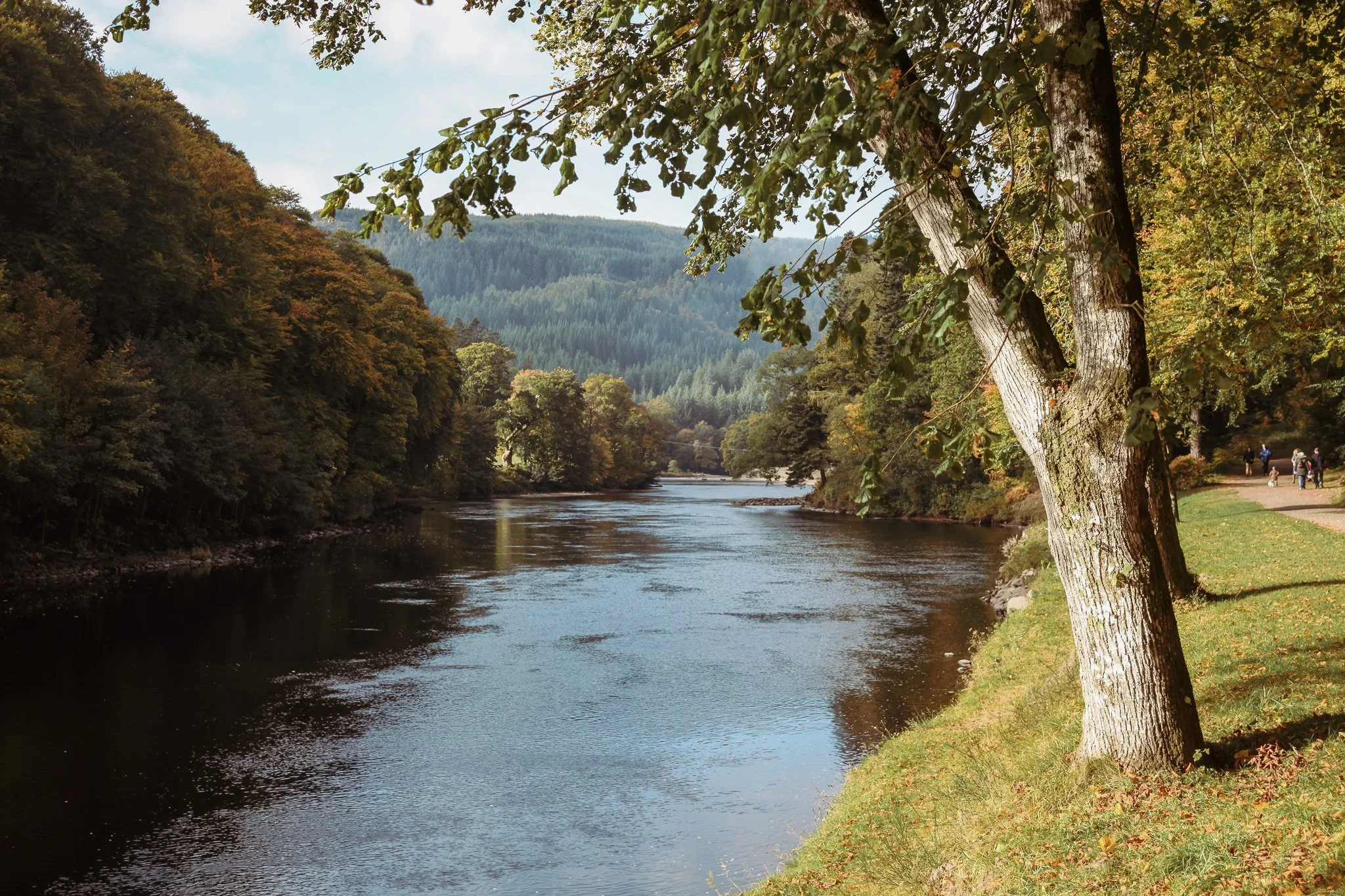 An Autumn Guide to Dunkeld & Birnam — The Taybank