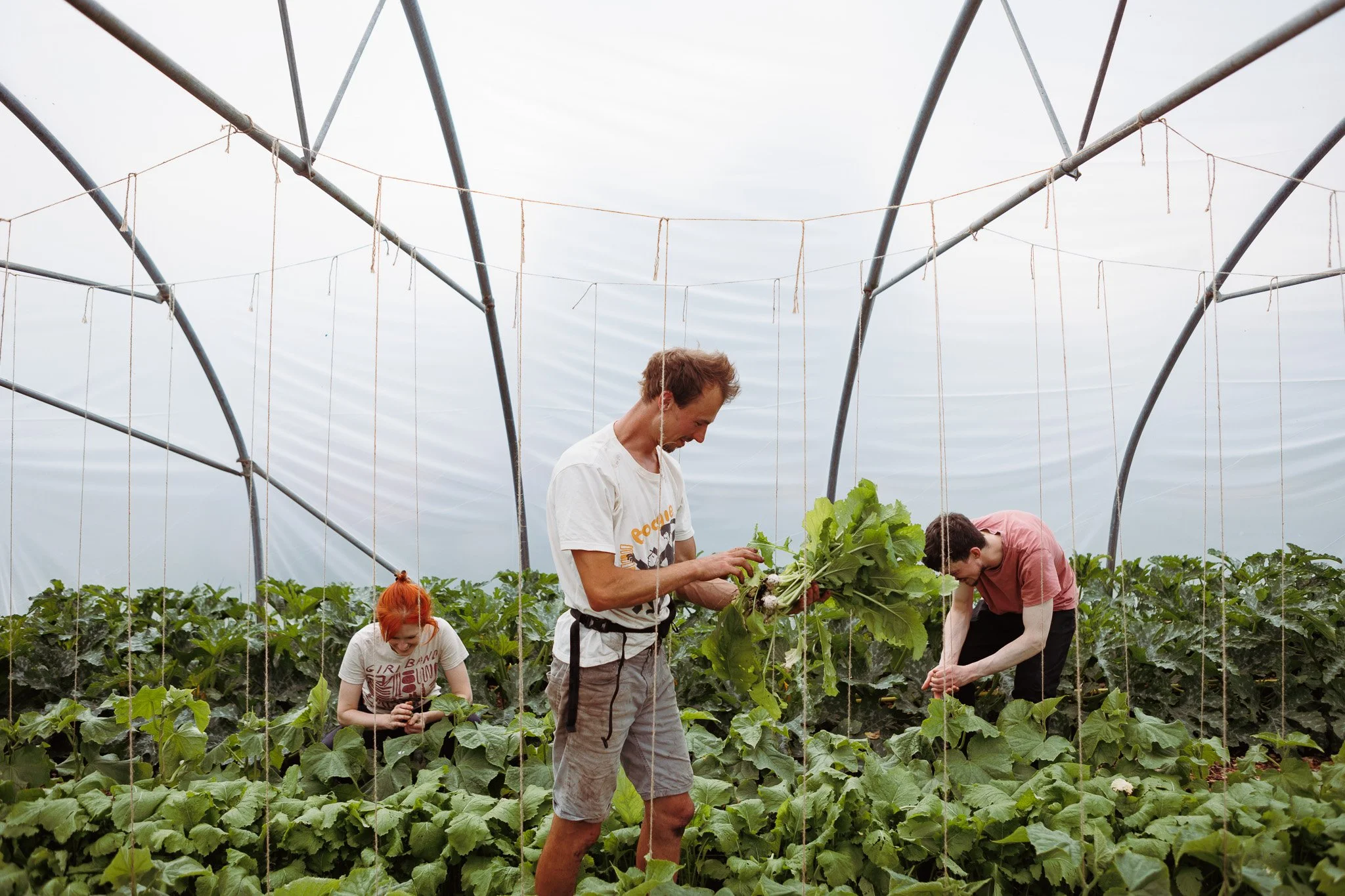The Taybank Gardens | Experience Scenic Beer Gardens – Visit Now — The ...