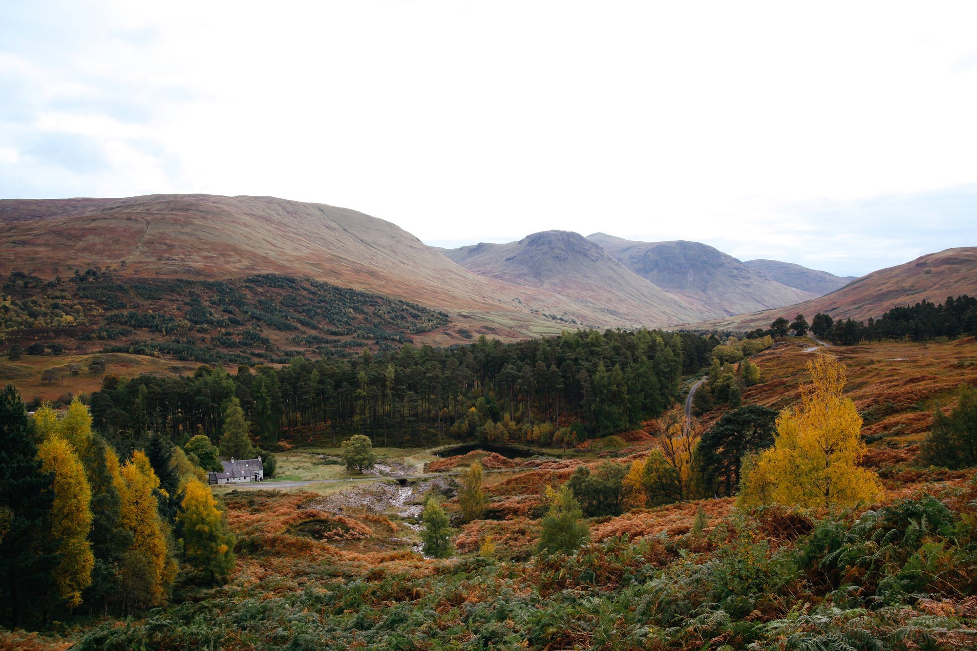 An Autumn Guide to Dunkeld & Birnam — The Taybank
