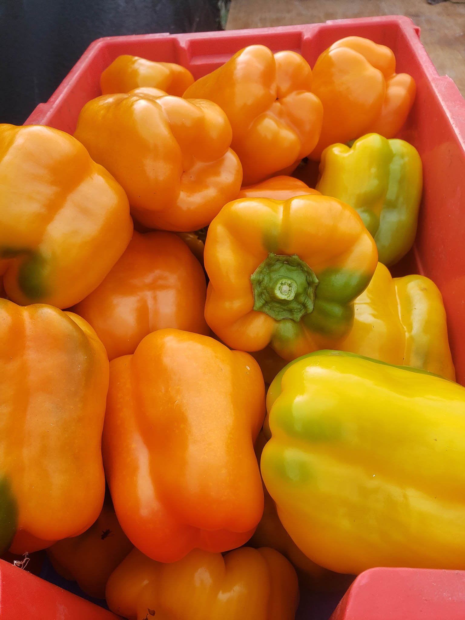 Shop — C & C Farms