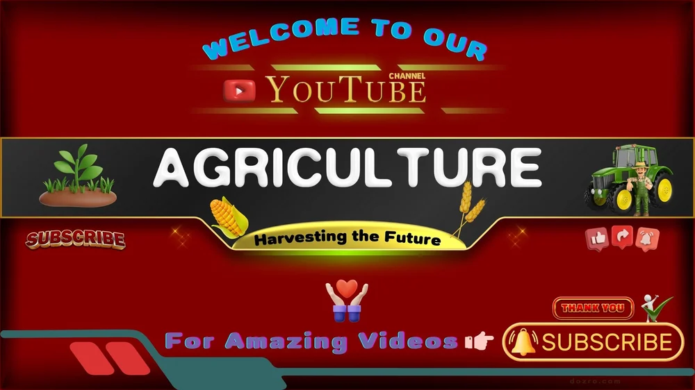 YouTube Banner Designs — DOZRO