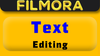 Filmora Text Formatting: Exploring Methods and Options for Editing Text ...