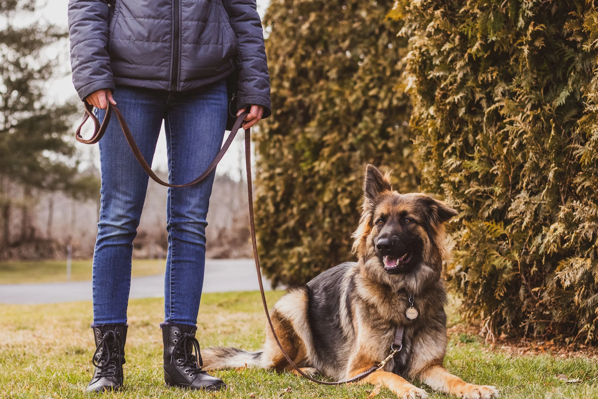 Rhody Paws Professional Dog Training