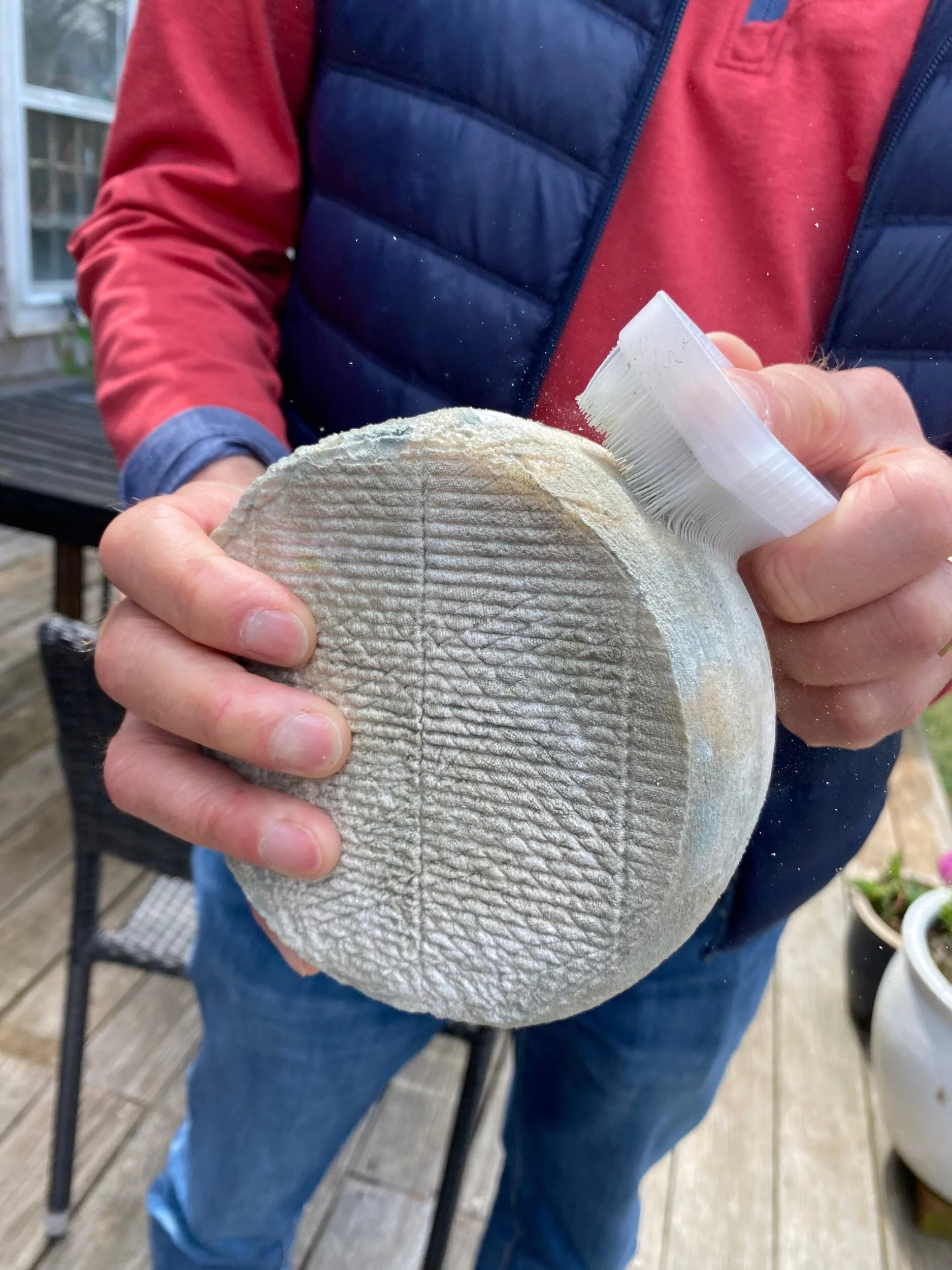 Store 2 — Two Goats School of Cheesemaking