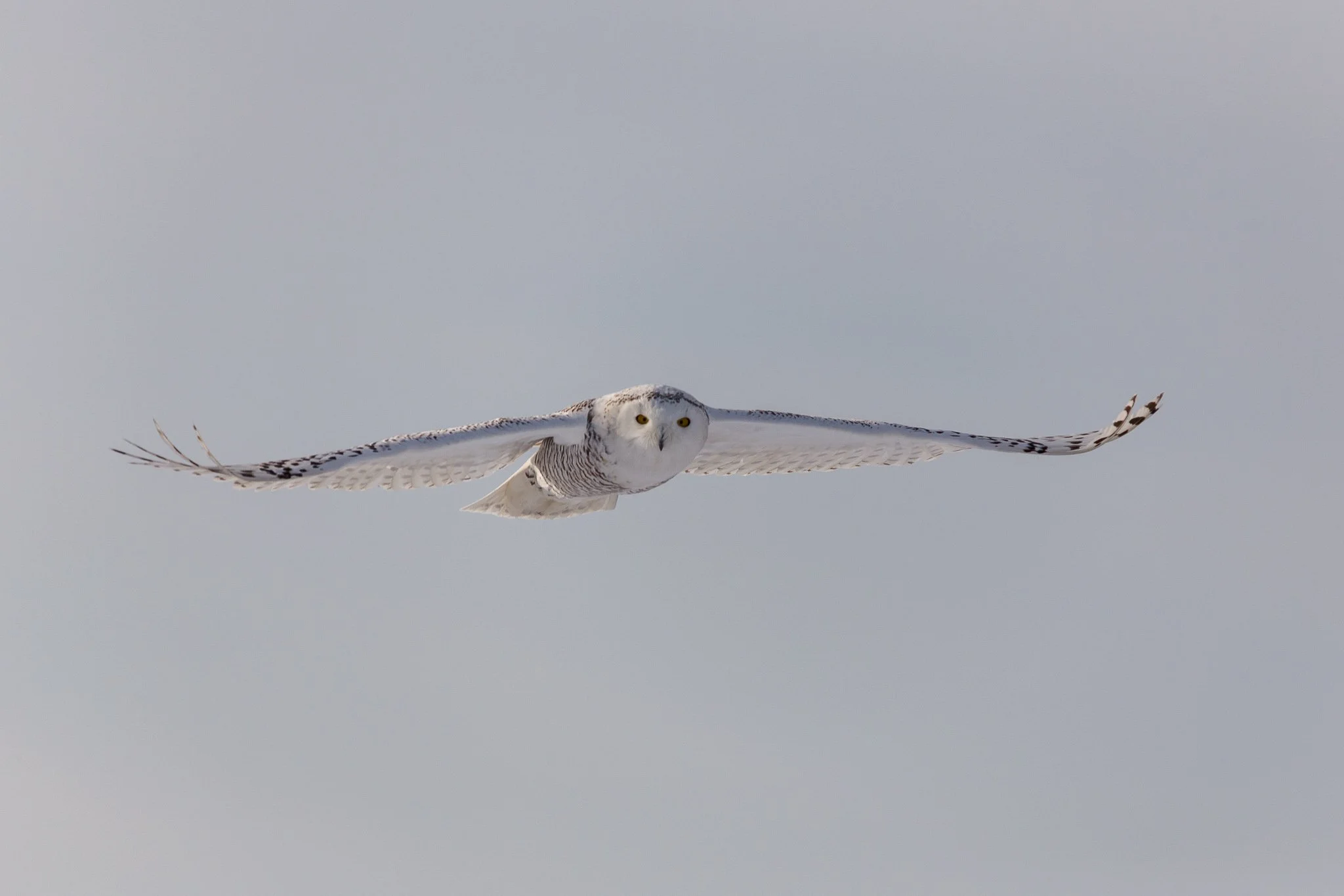 Christopher Georgia photography