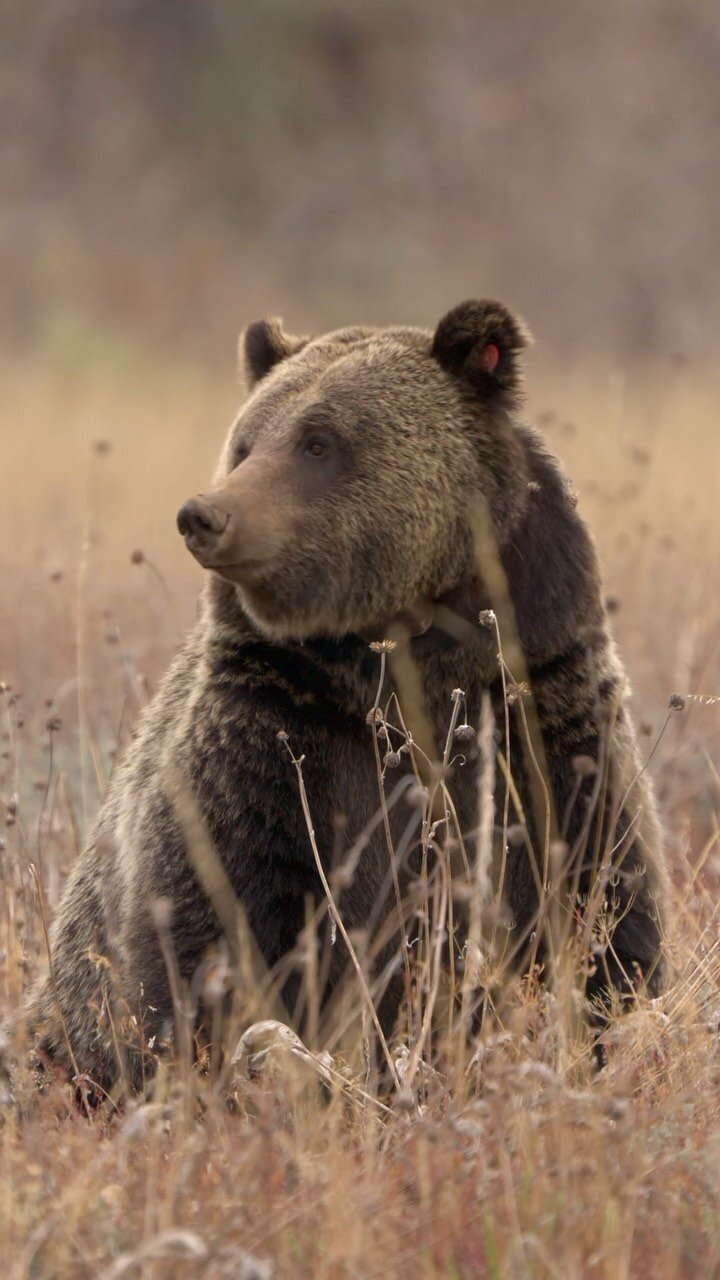 Christopher Georgia photography