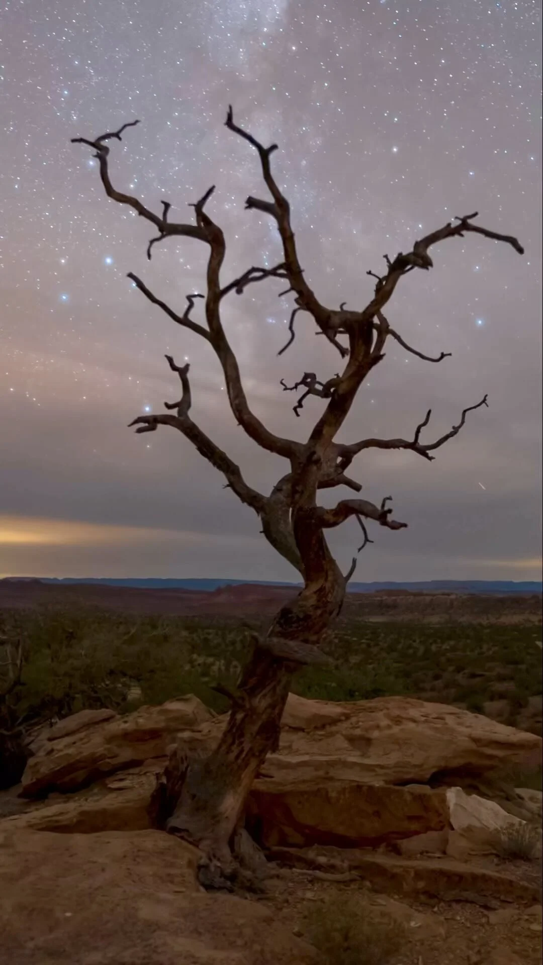 Christopher Georgia photography