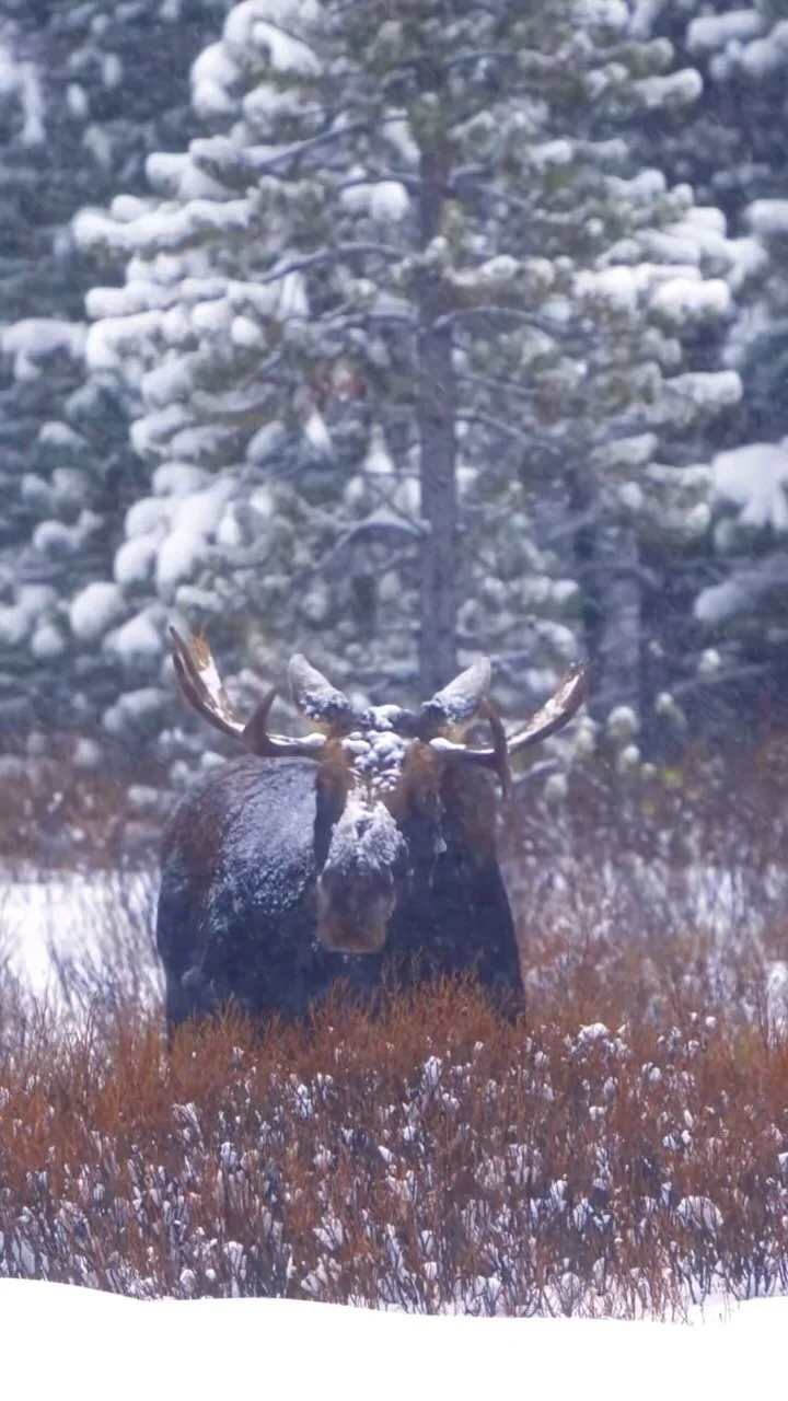 Christopher Georgia photography