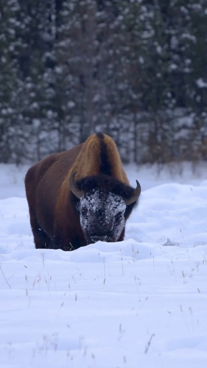 Christopher Georgia photography