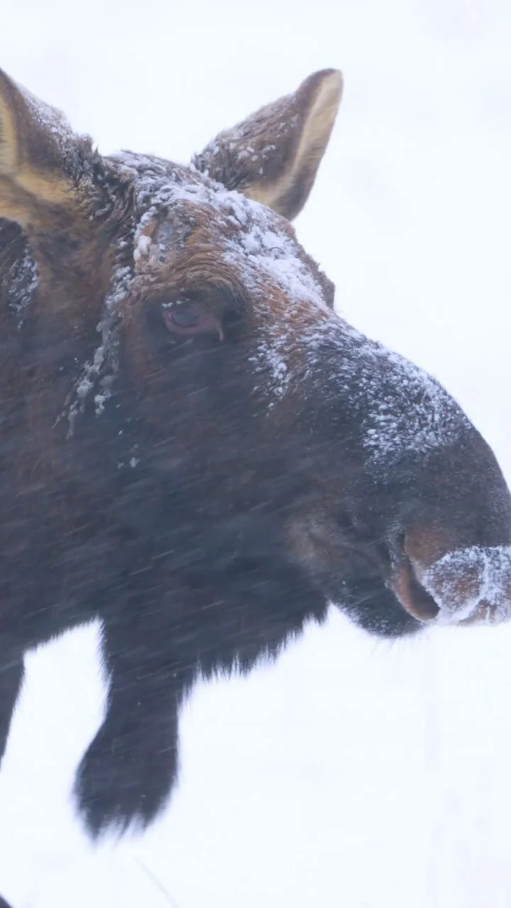 Christopher Georgia photography