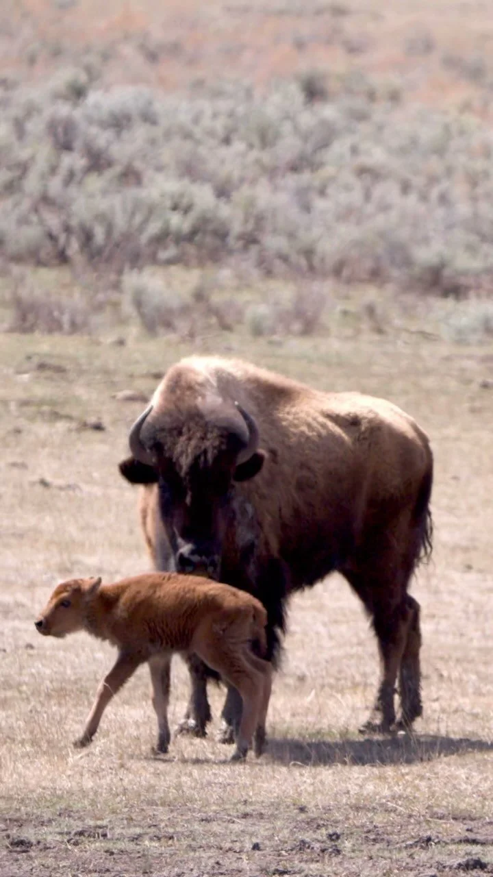 Christopher Georgia photography