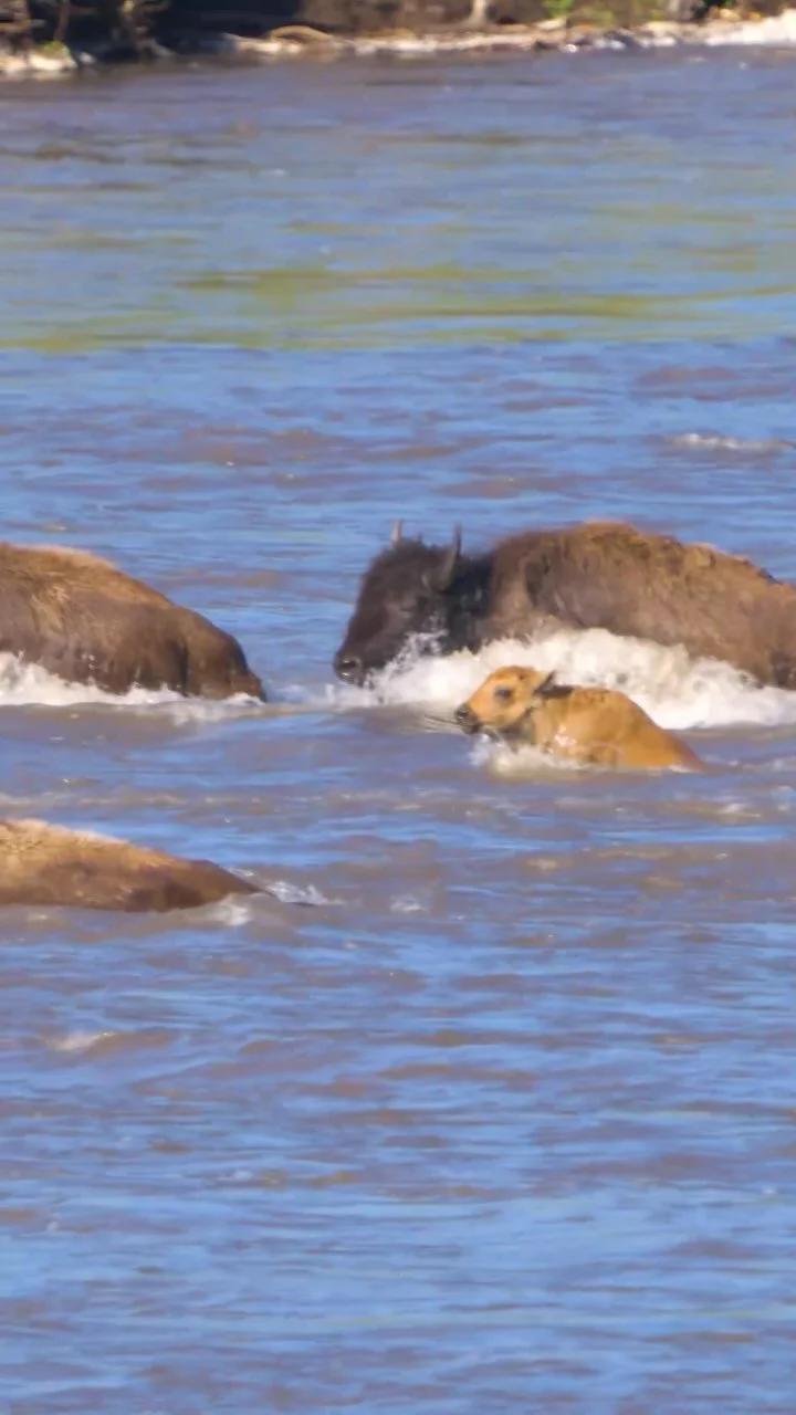 Christopher Georgia photography