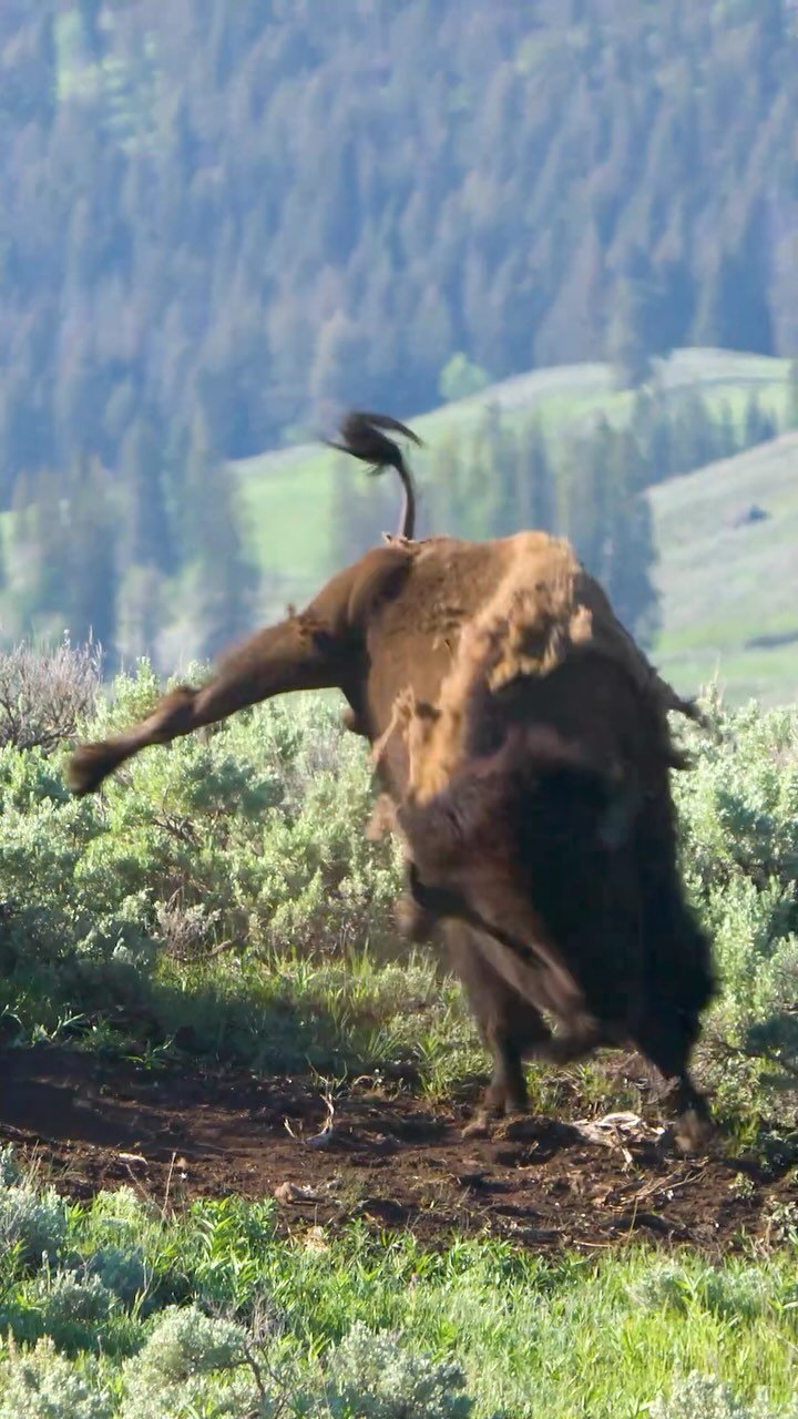 Christopher Georgia photography