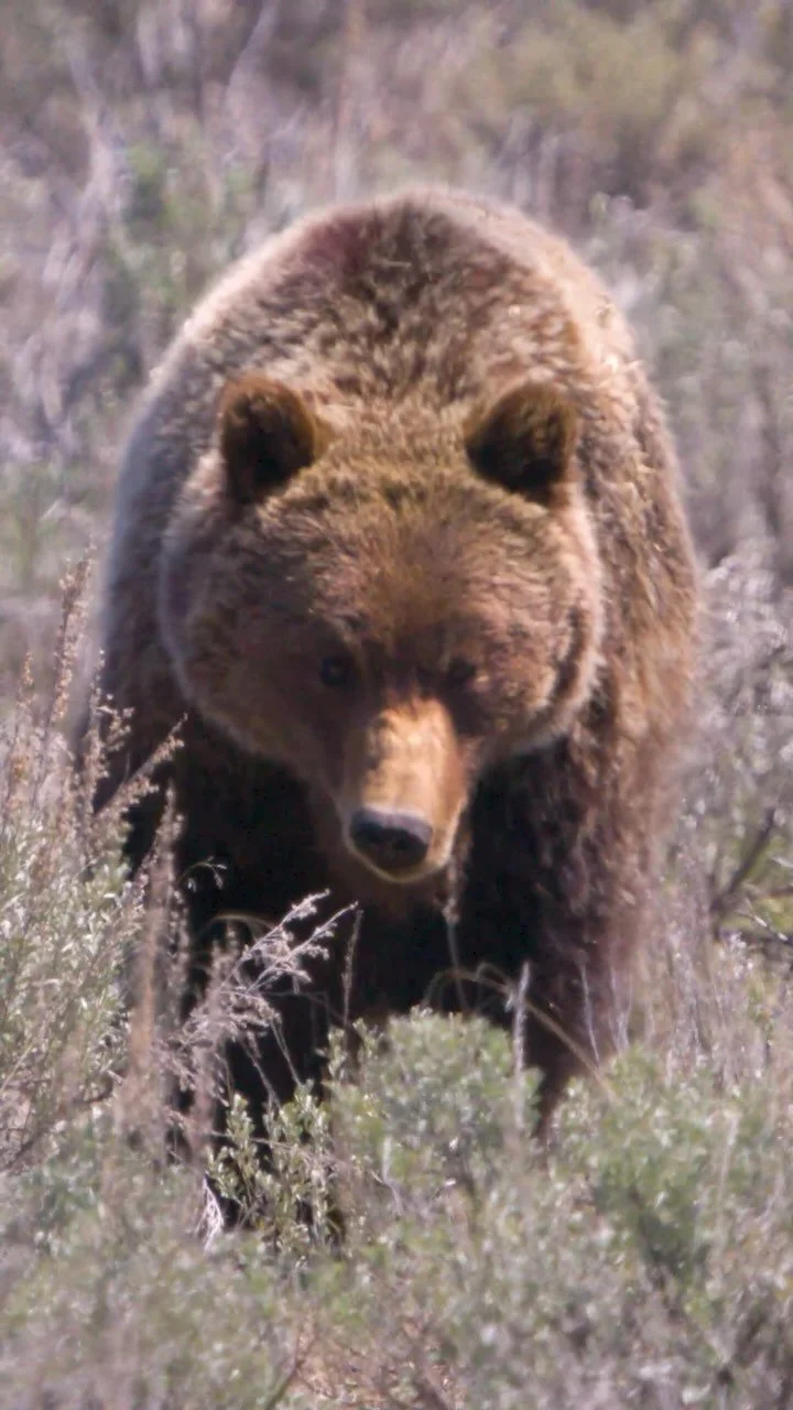 Christopher Georgia photography