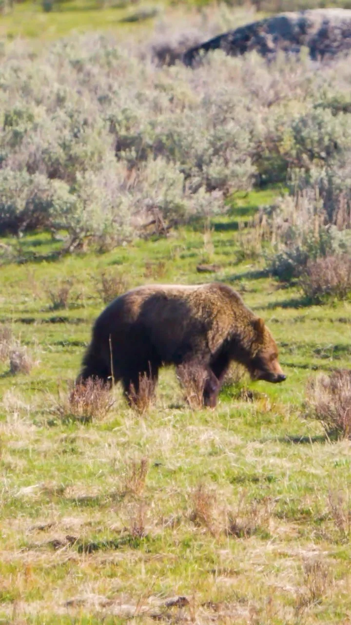 Christopher Georgia photography