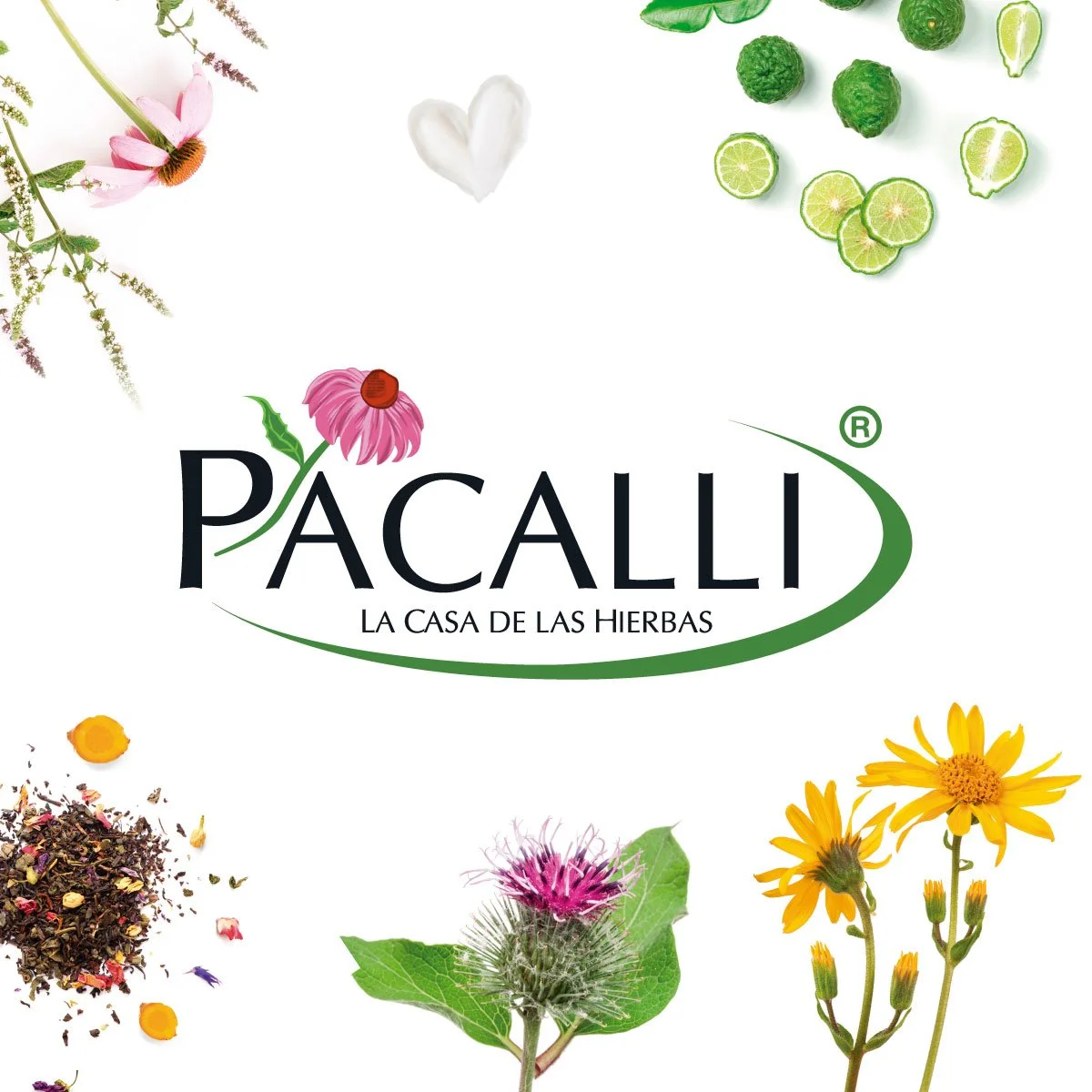 Cuponera Pacalli — Bloss