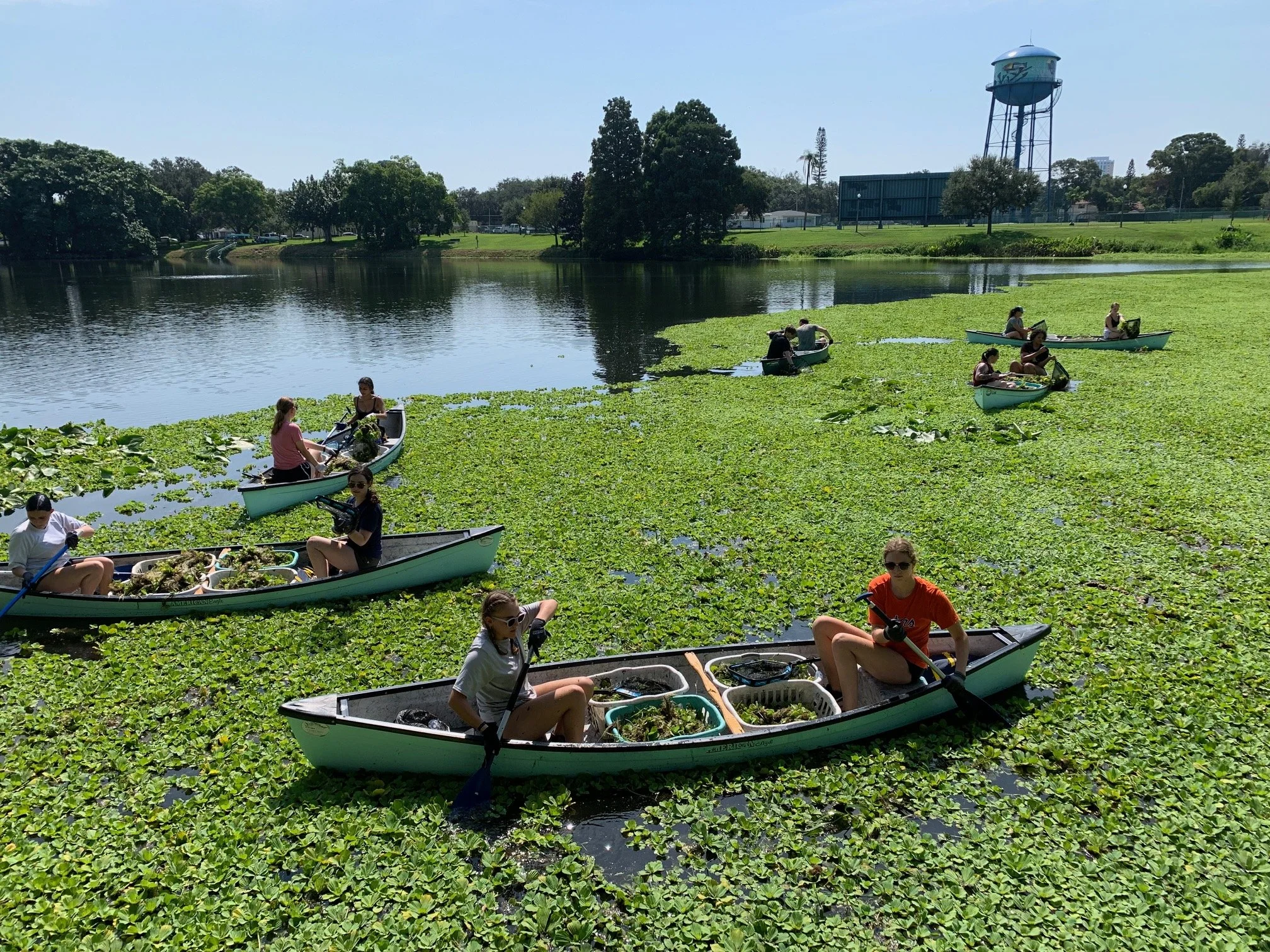 Crescent Lake — Stewards of Our Urban Lakes