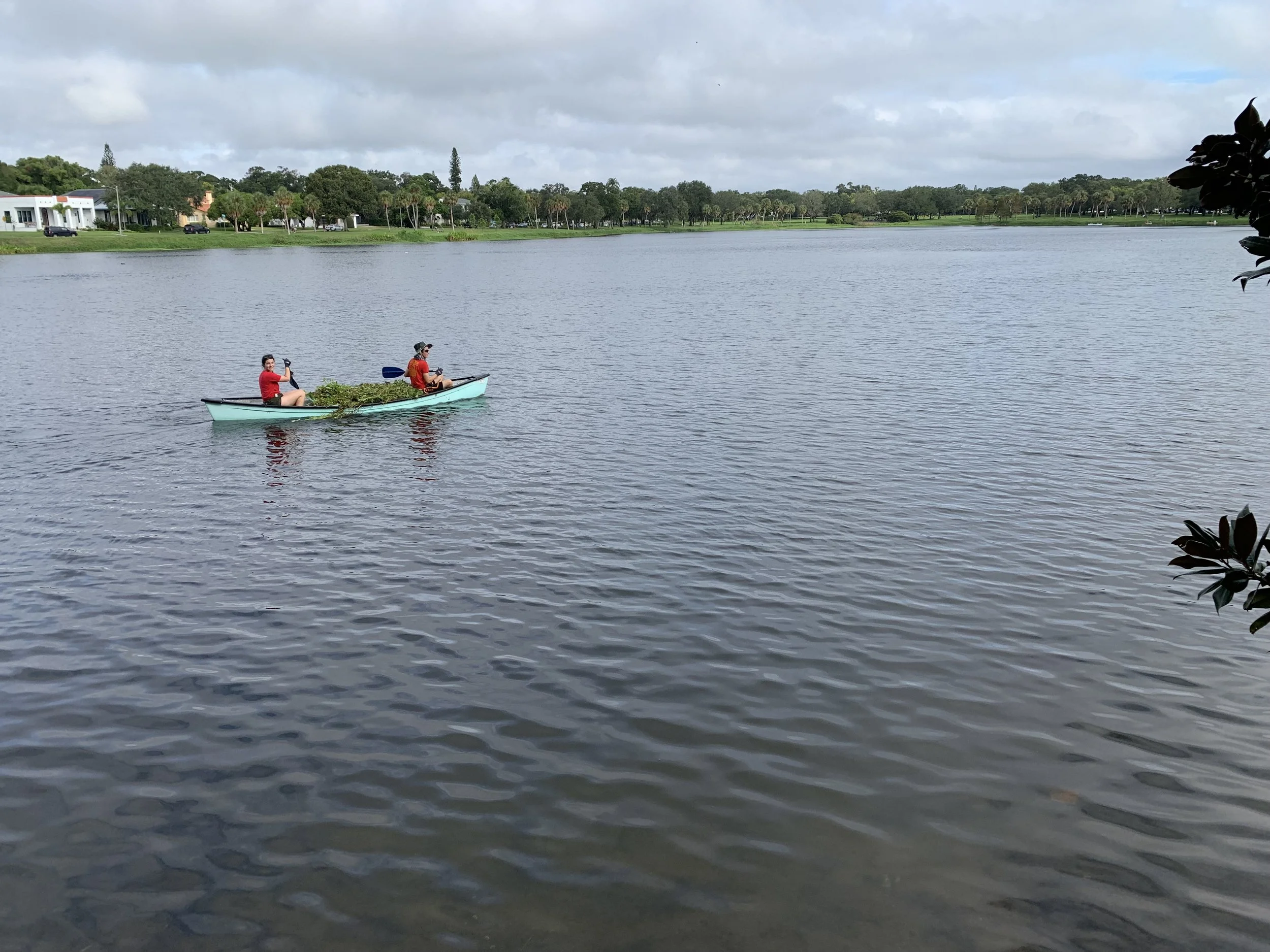 Crescent Lake — Stewards of Our Urban Lakes
